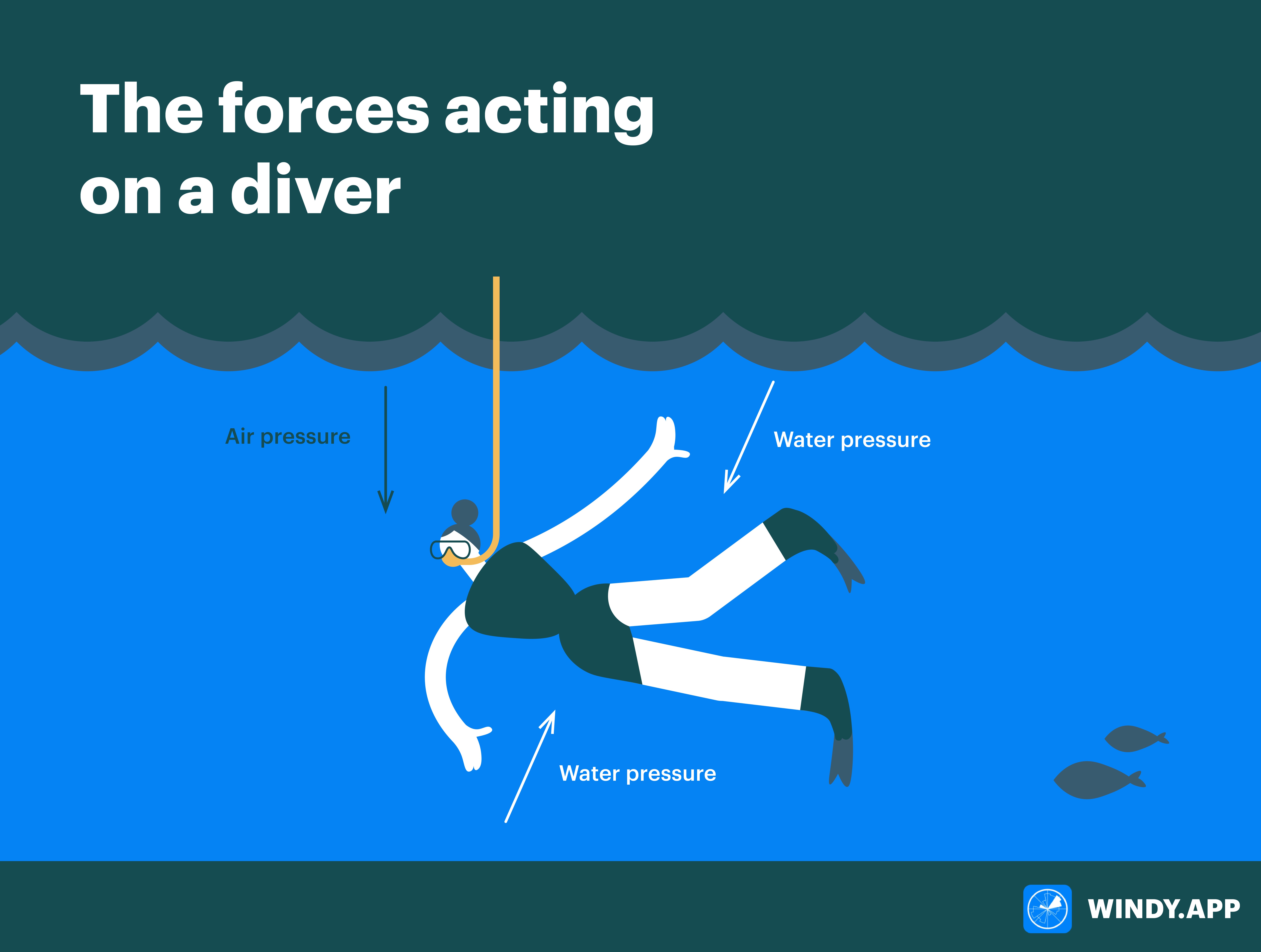 Human survival at great depths - Windy.app