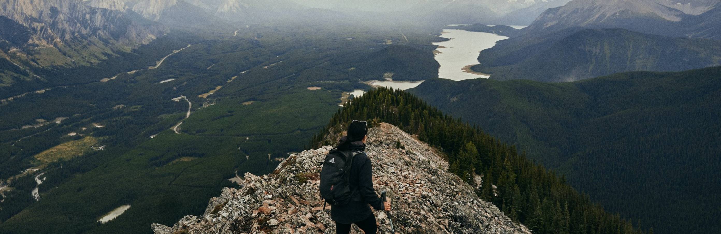 How to use weather history for better weather forecasting - Windy.app