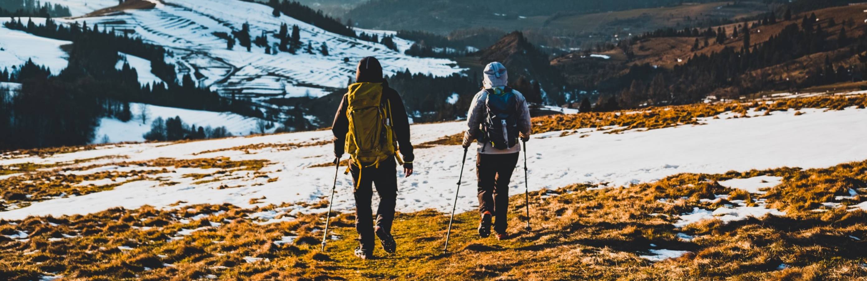 What is freezing level chart in your weather forecast? Yes, it is about ...