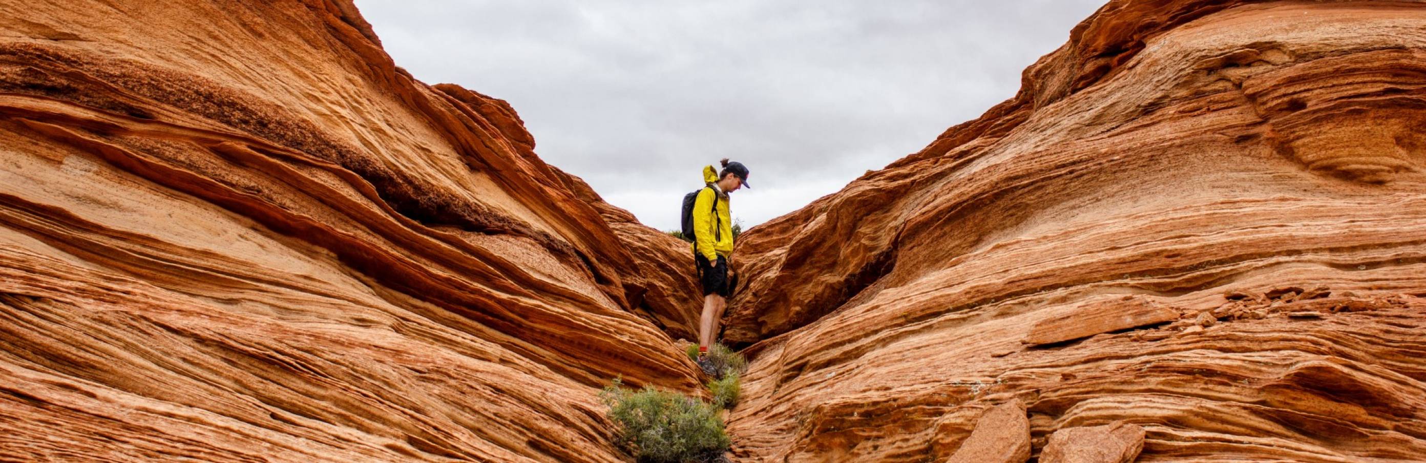 What is ECMWF weather model and how it works - Windy.app