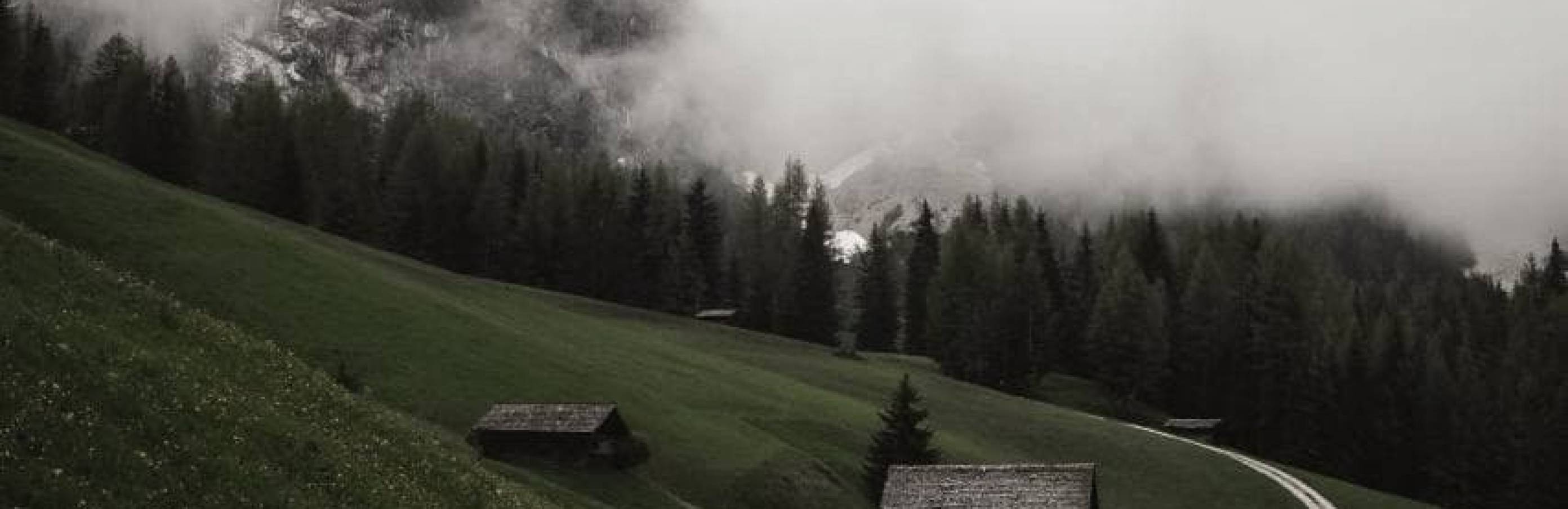 How does fog form - Windy.app