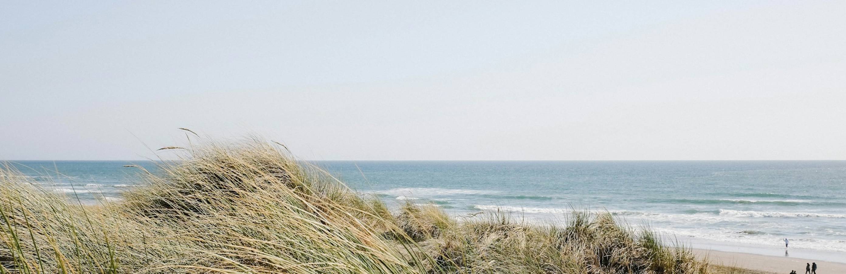 What is breeze wind and how it works - Windy.app